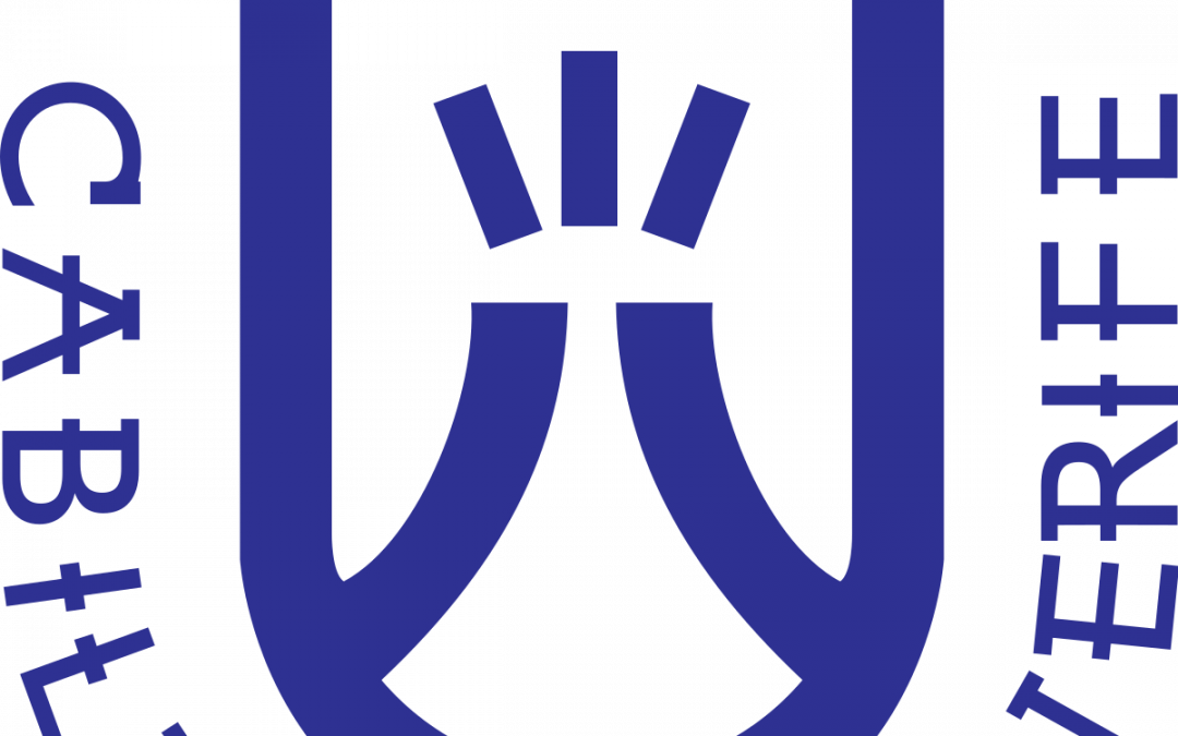 1200px-Logotipo_del_Cabildo_de_Tenerife.svg | FIMT